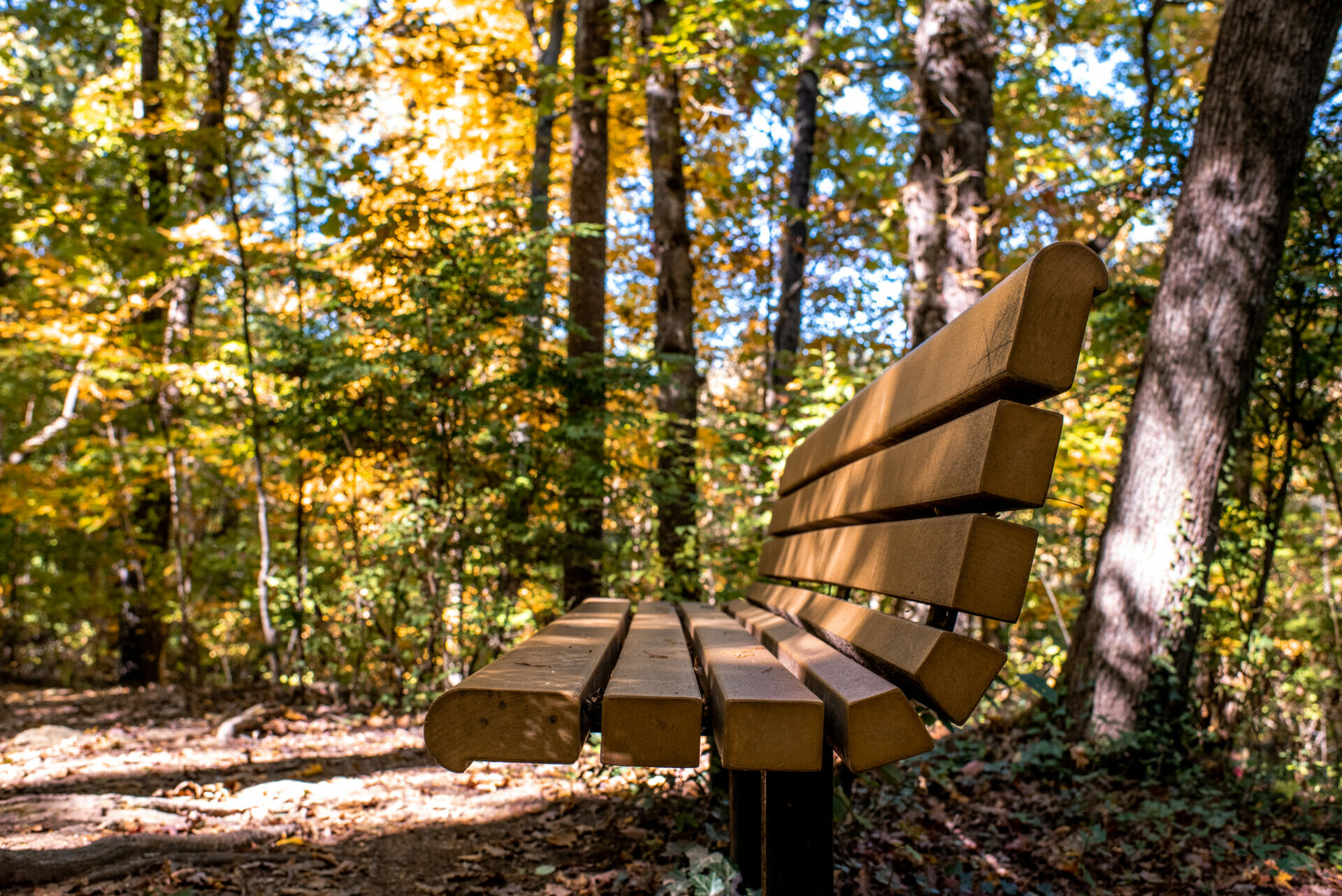 Murray Run Greenway - Roanoke Parks And Recreation