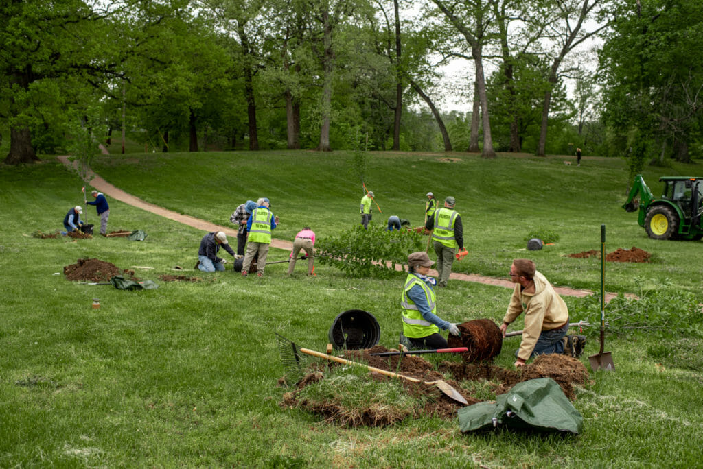 Arbor Day, Urban Forestry, and the Value of a Tree - Roanoke Parks And ...