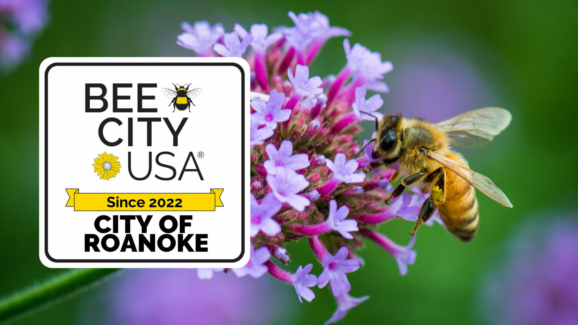 Roanoke Becomes a Bee City USA® Affiliate City - Roanoke Parks And Recreation