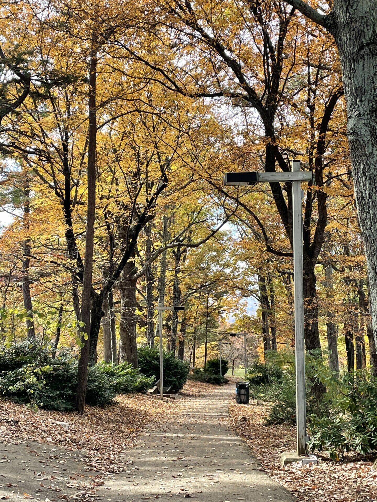 Mill Mountain Park in Roanoke