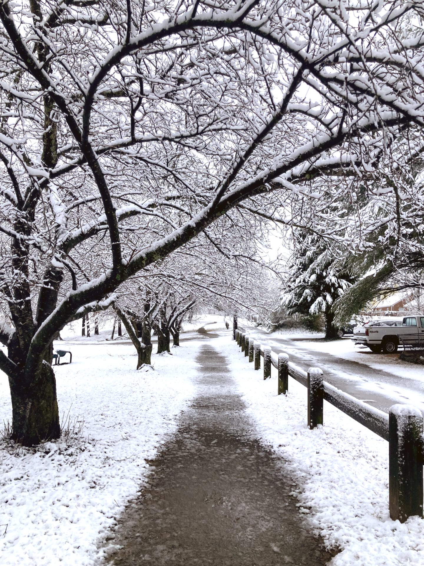 Murray Run Greenway - Roanoke Parks And Recreation