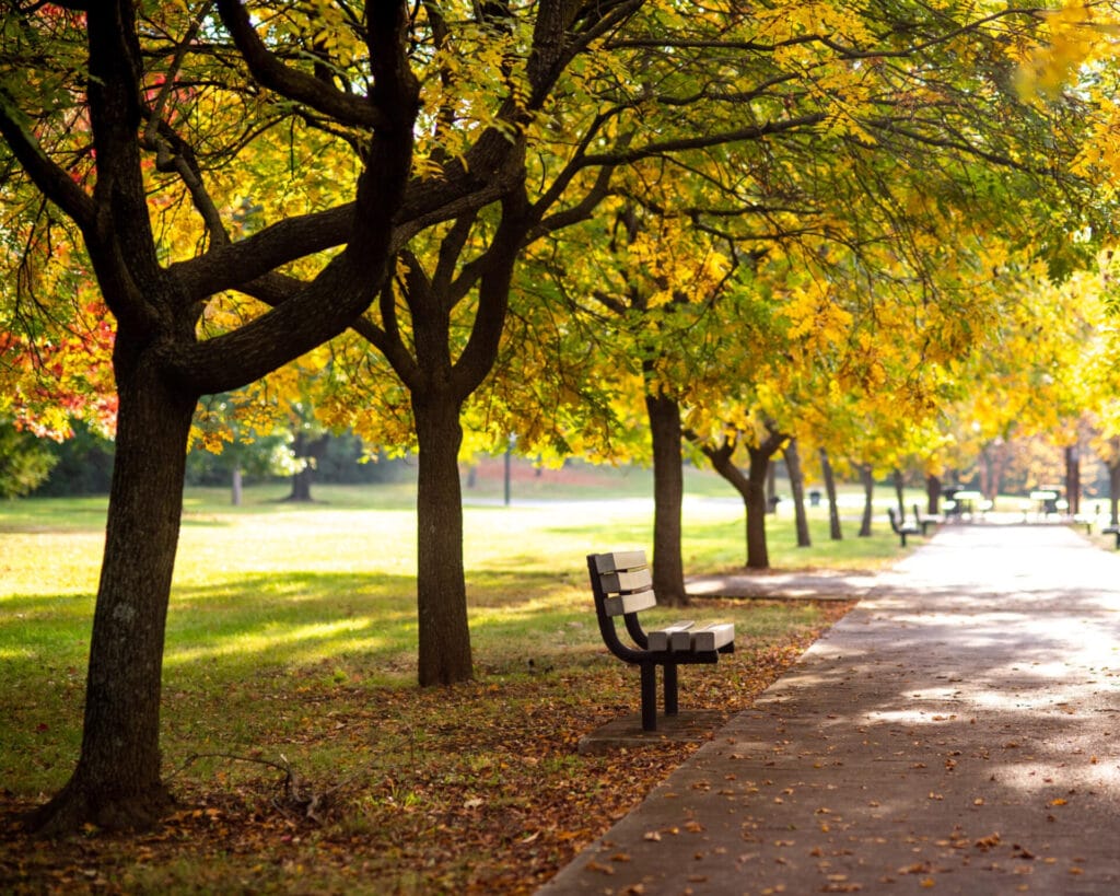 5 Easy Ways to Opt Outside - Roanoke Parks And Recreation