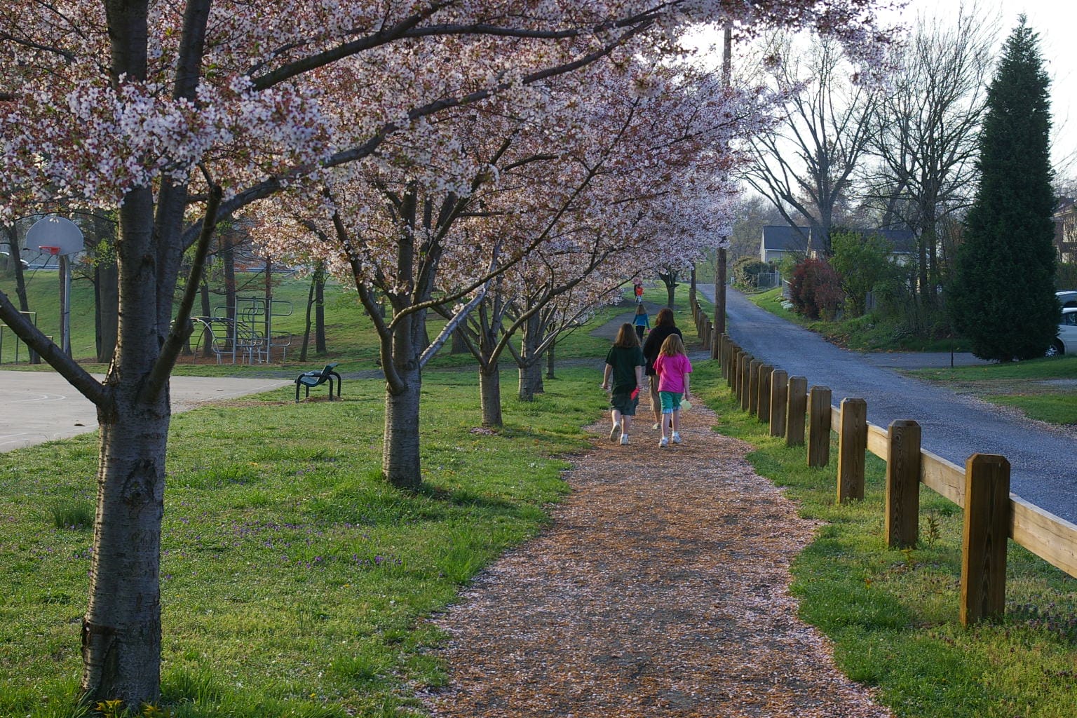 Murray Run Greenway - Roanoke Parks And Recreation