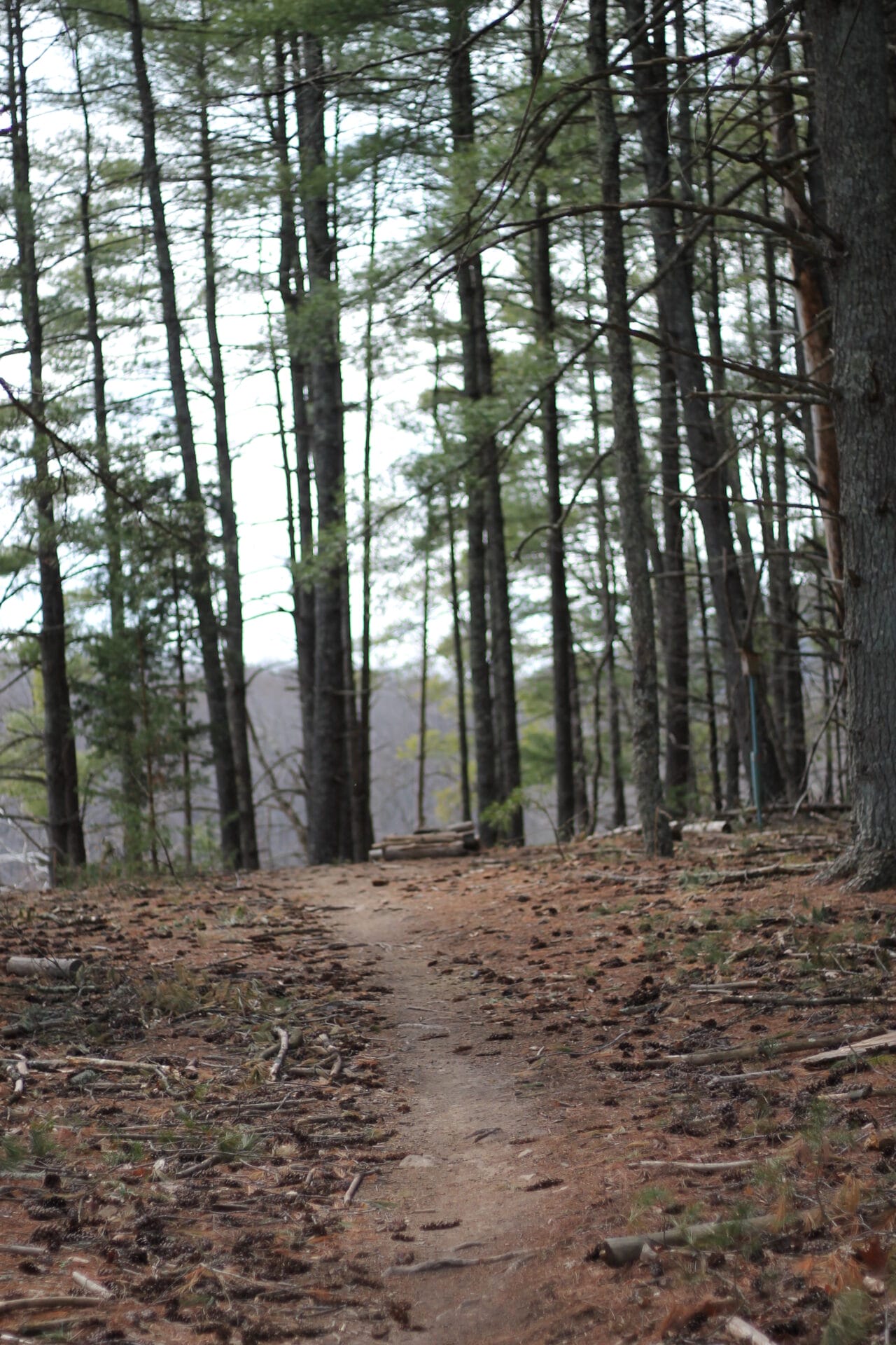Carvins Cove Natural Reserve - Roanoke Parks And Recreation