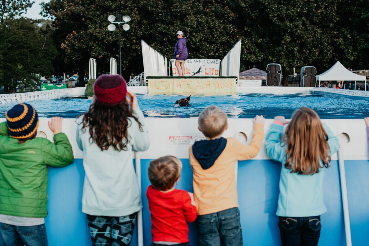 Parents' Guide to the 2025 GO Outside Festival - Roanoke Parks And ...